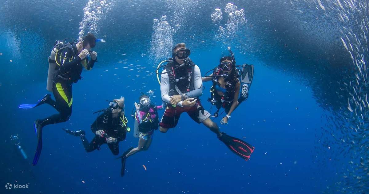 探索深處：在我們的 Padi 5 星級潛水度假村成為薄荷島的 Padi Aow 潛水員 Klook 客路